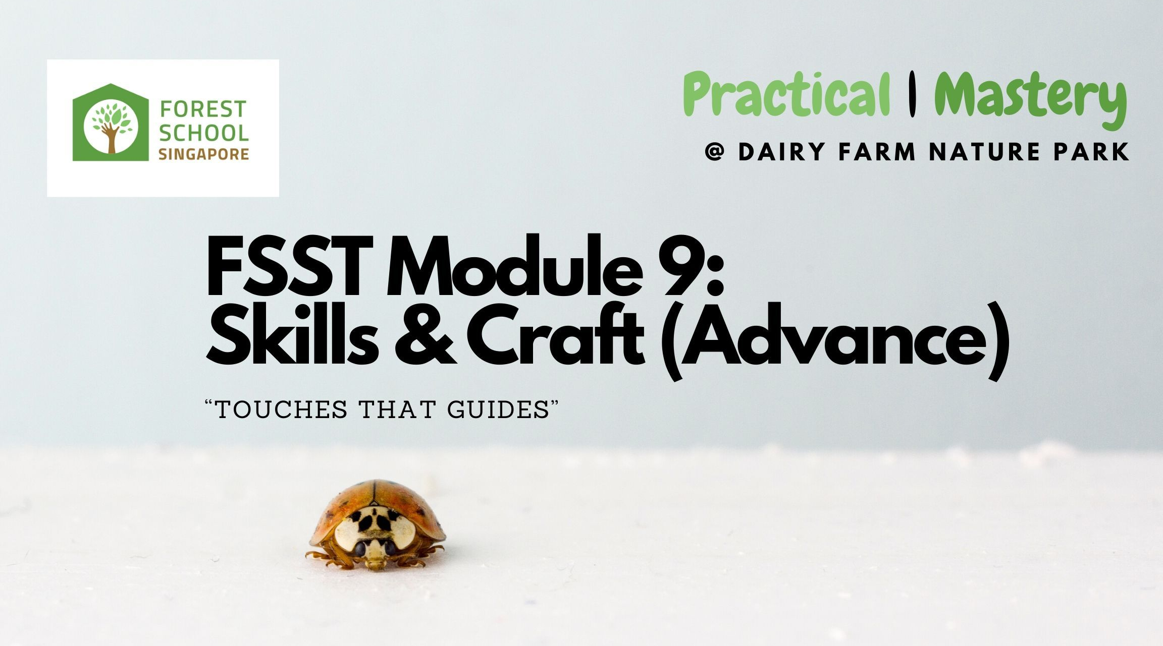 FSST Module 9 – Forest School Singapore (FSS)