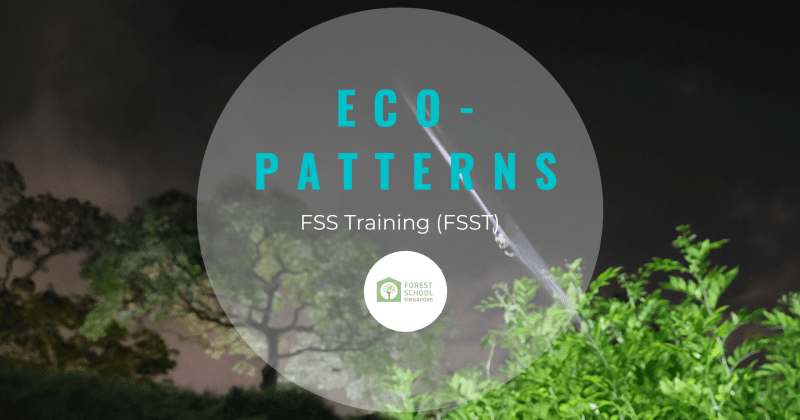 Eco-patterns – Forest School Singapore