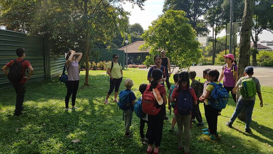 FSS-Thornbill- – Forest School Singapore